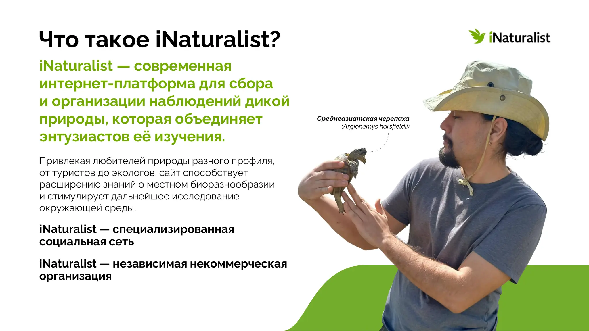 Знакомство с iNaturalist: советы новичкам, City Nature Challenge 2024 в Алматы | PDF