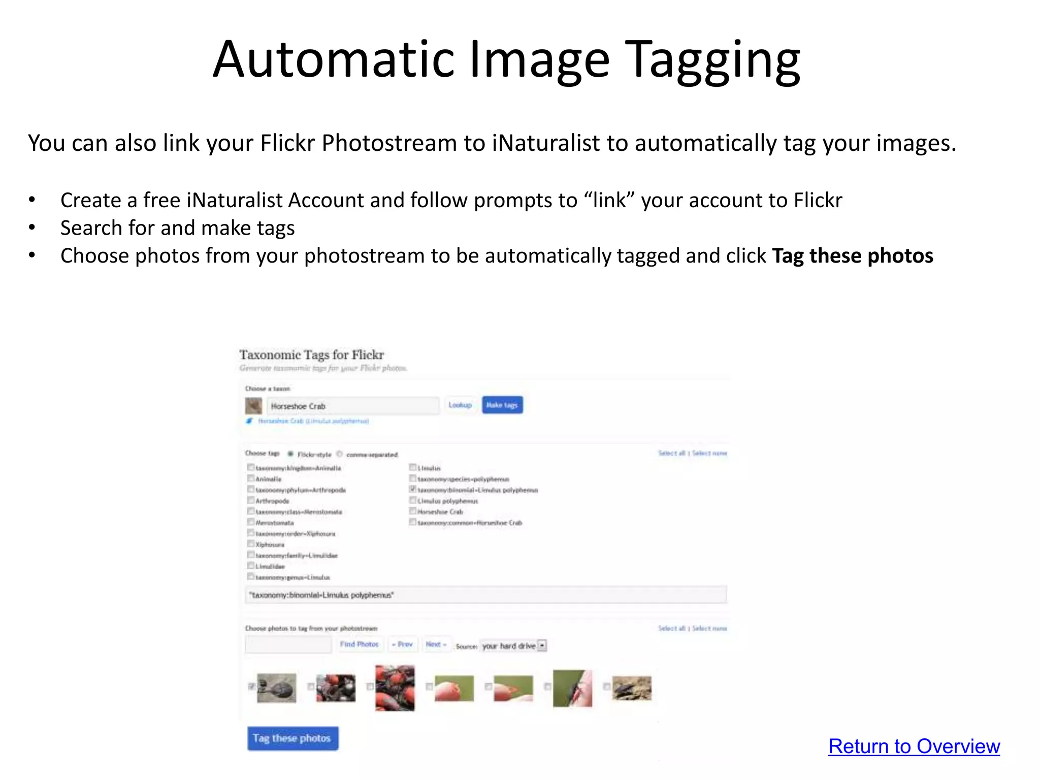 iNaturalist Taxonomic Tagging Tool for Flickr | PPT