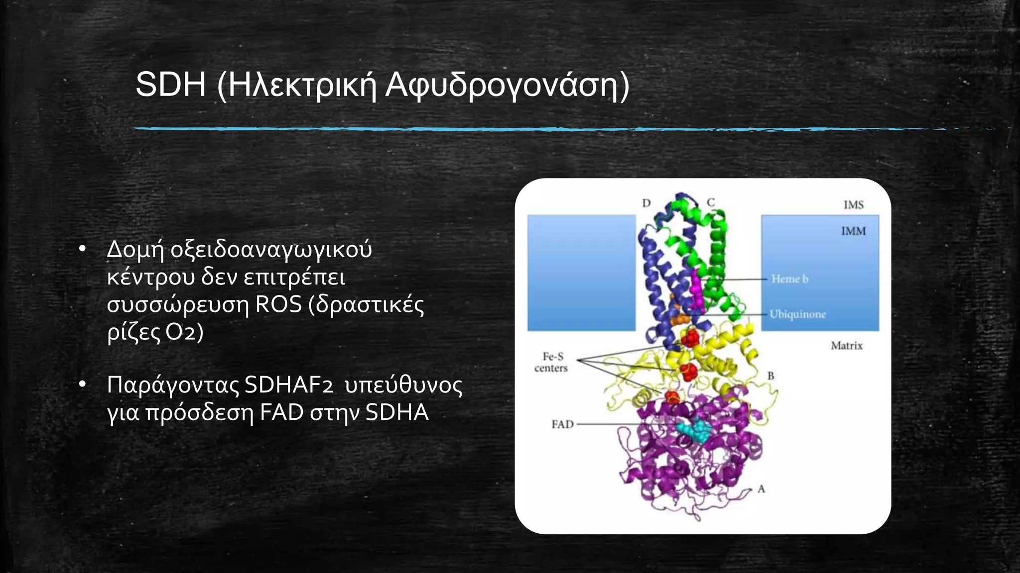Inborn and acquired metabolic defects in cancer | PPT