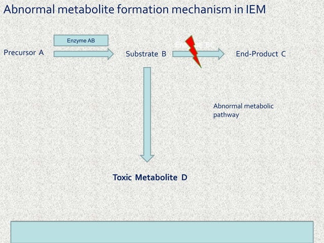 Inborn error of metabolism ( Prenatal & Newborn Screening ) | PPT