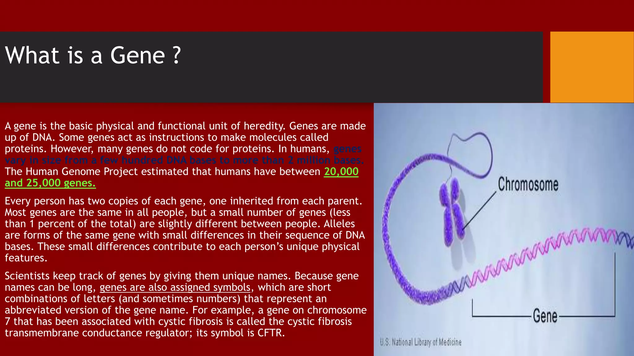 Inborn error of metabolism 2019 | PPT