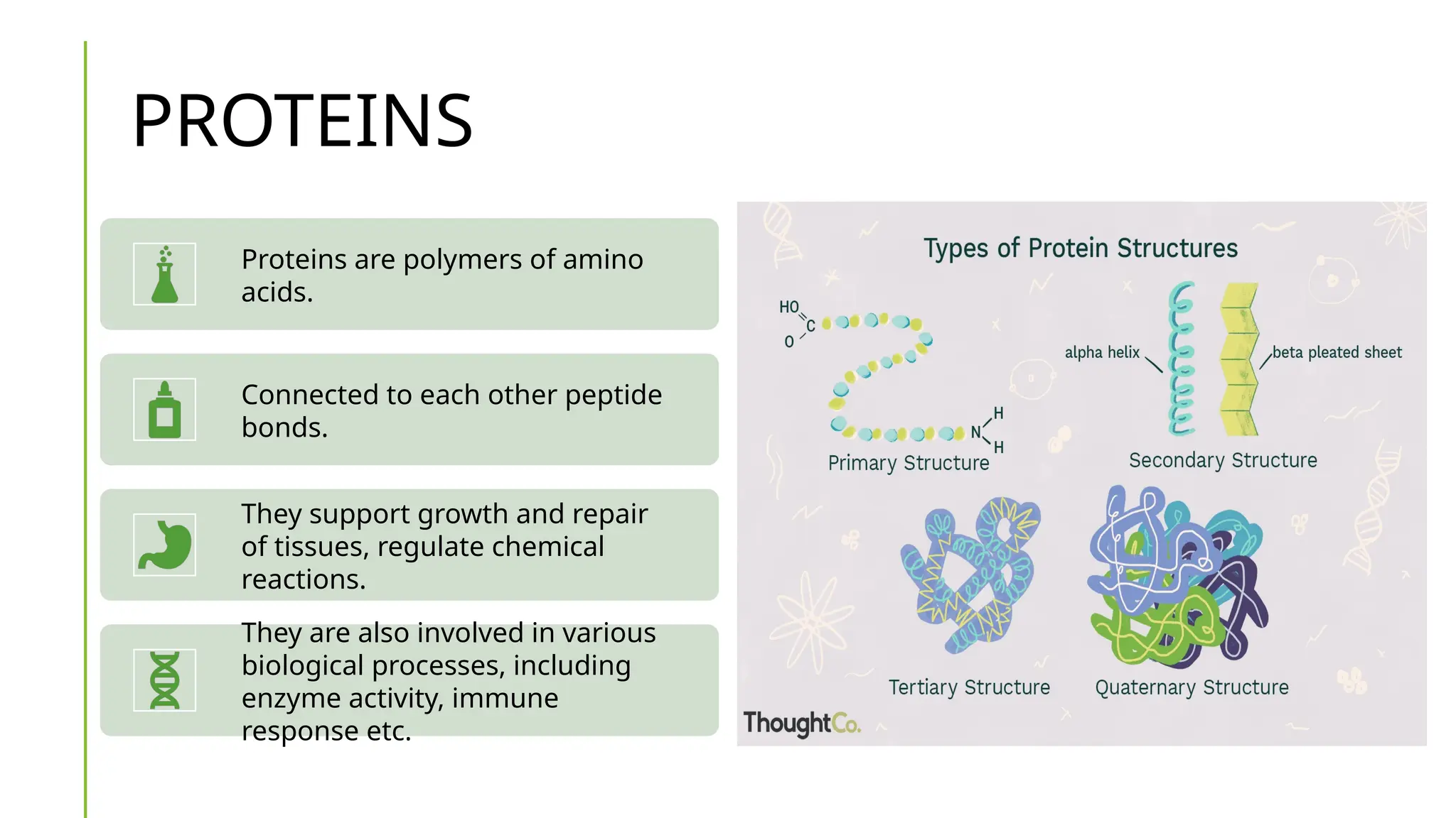 Inborn errors in protein metabolism.pptx