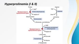 INBORN ERRORS OF AMINO ACID METABOLISM-G7-1.pdf