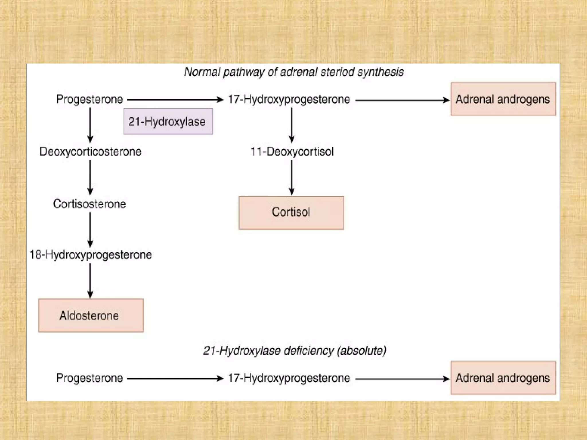 Inborn errors of metabolism | PPT