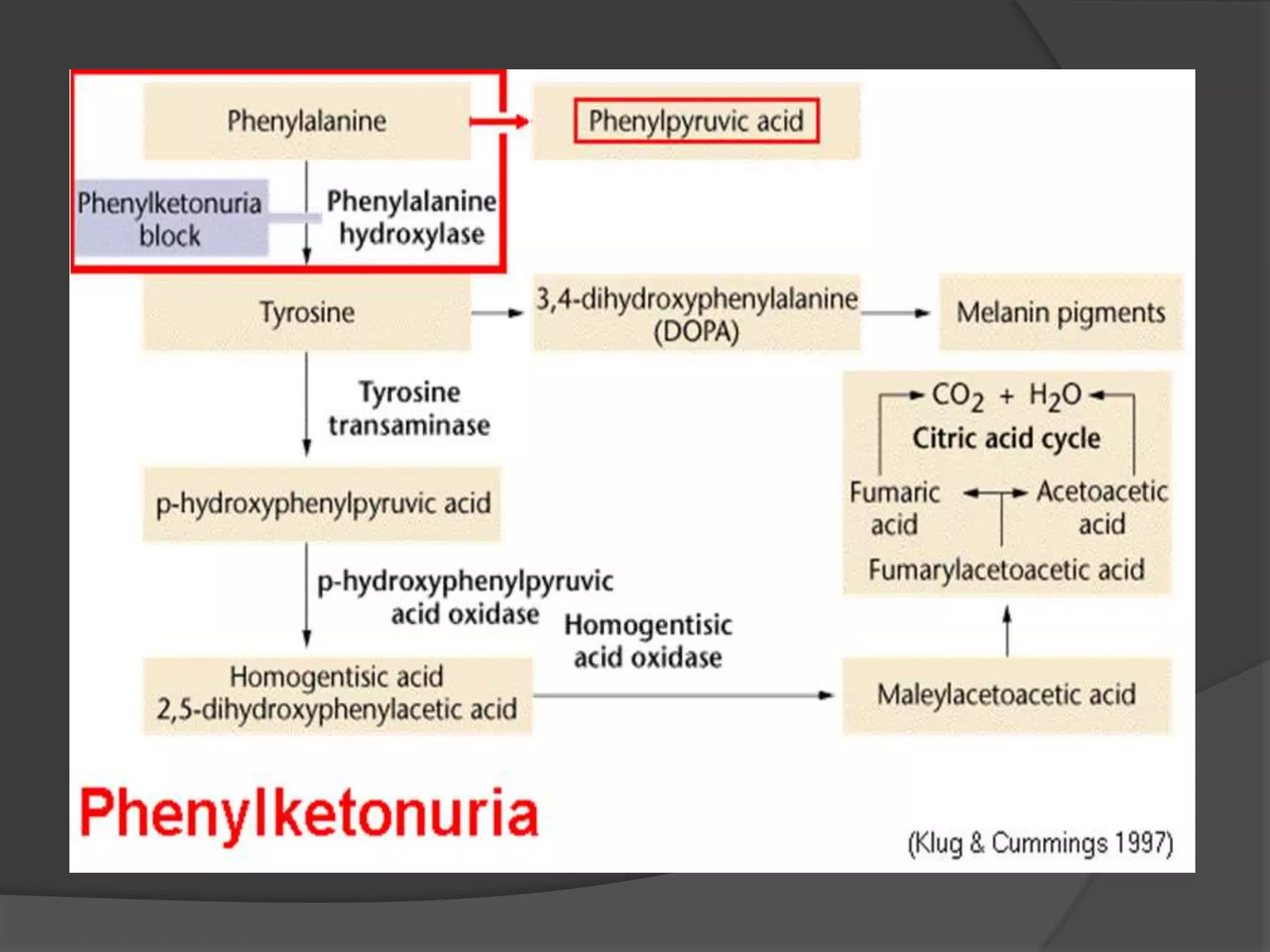 Inborn errors of metabolism ppt | PPTX