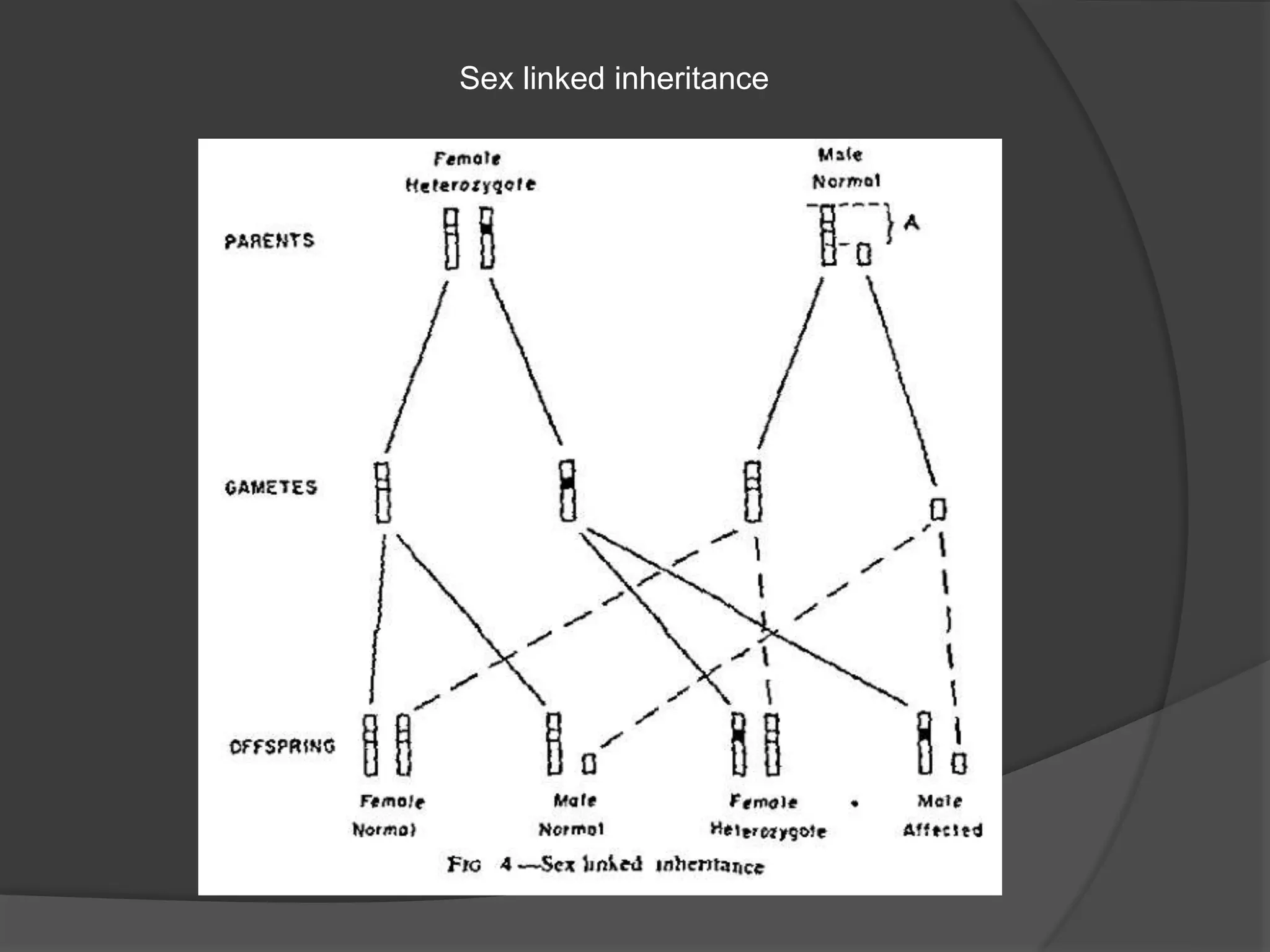 Inborn errors of metabolism ppt | PPTX