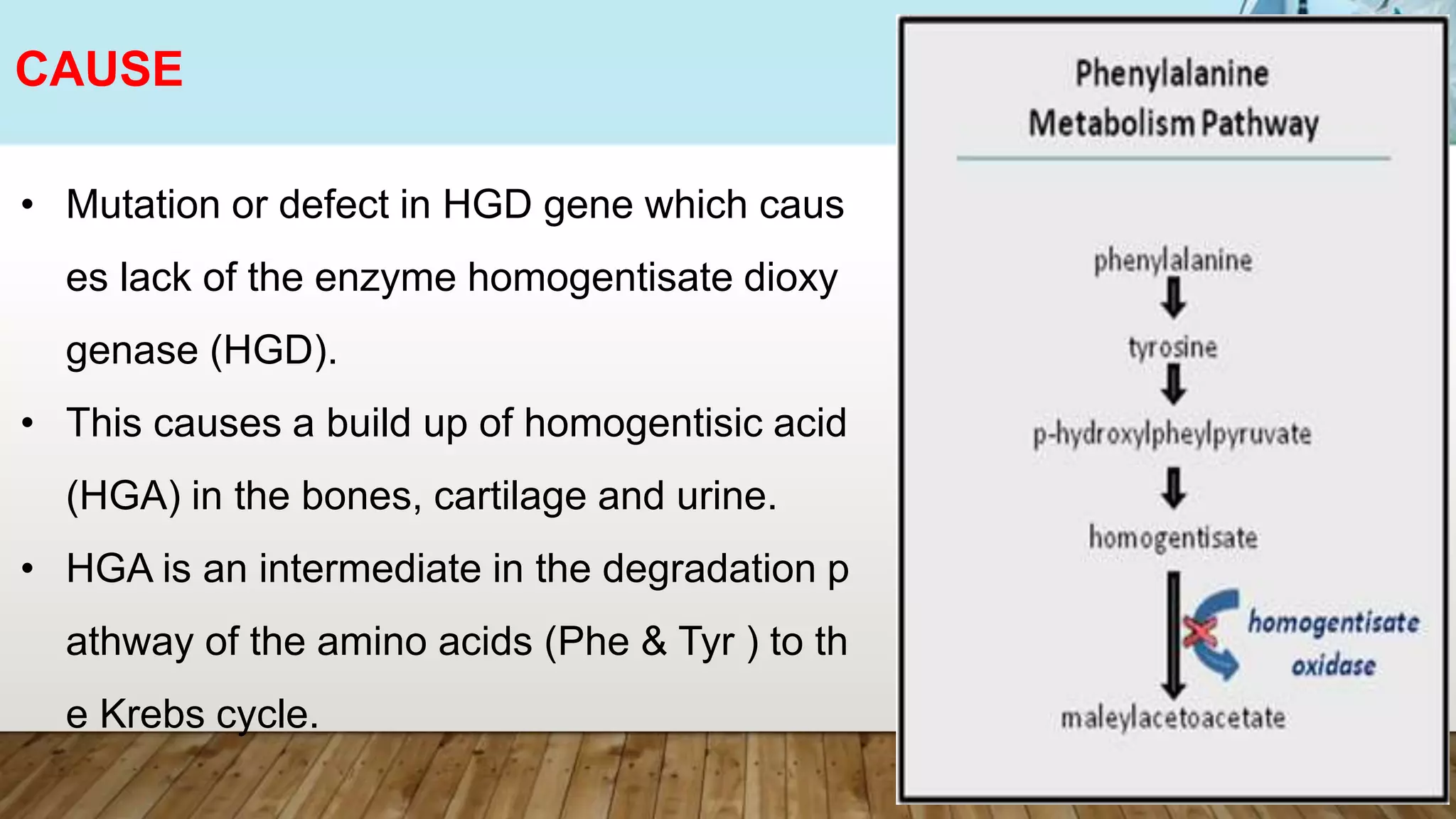 Inborn errors of protein metabolism | PPTX