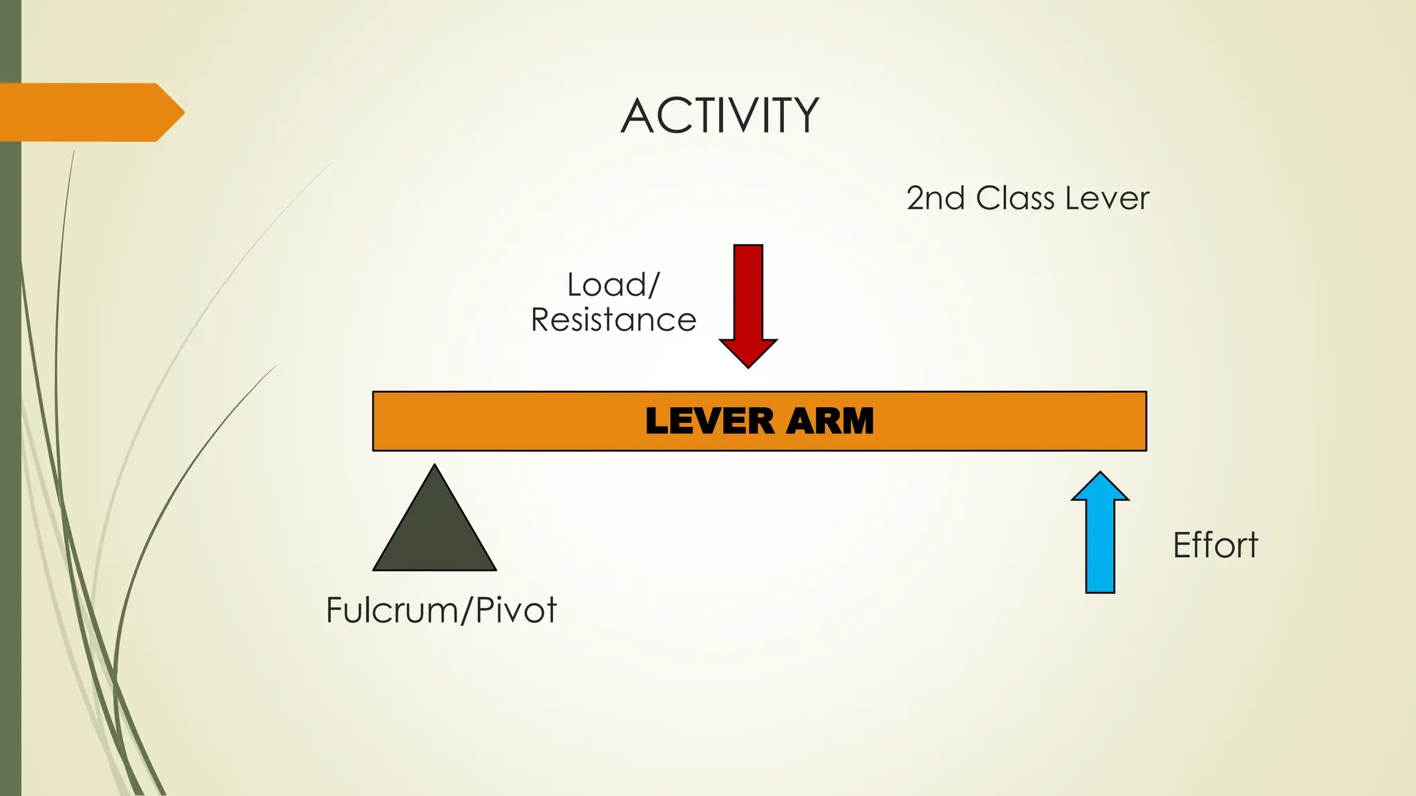 inbound2772655900034201706.pdf lever system in human body | PDF ...