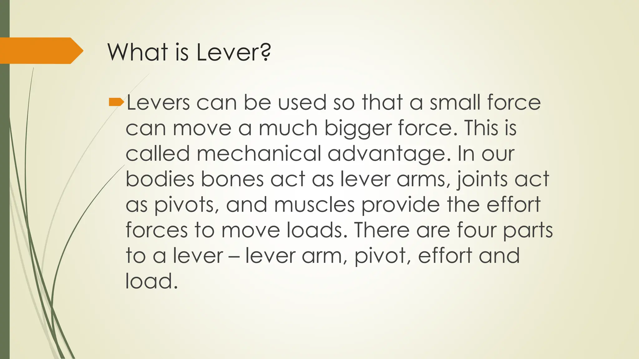 inbound2772655900034201706.pdf lever system in human body | PDF ...
