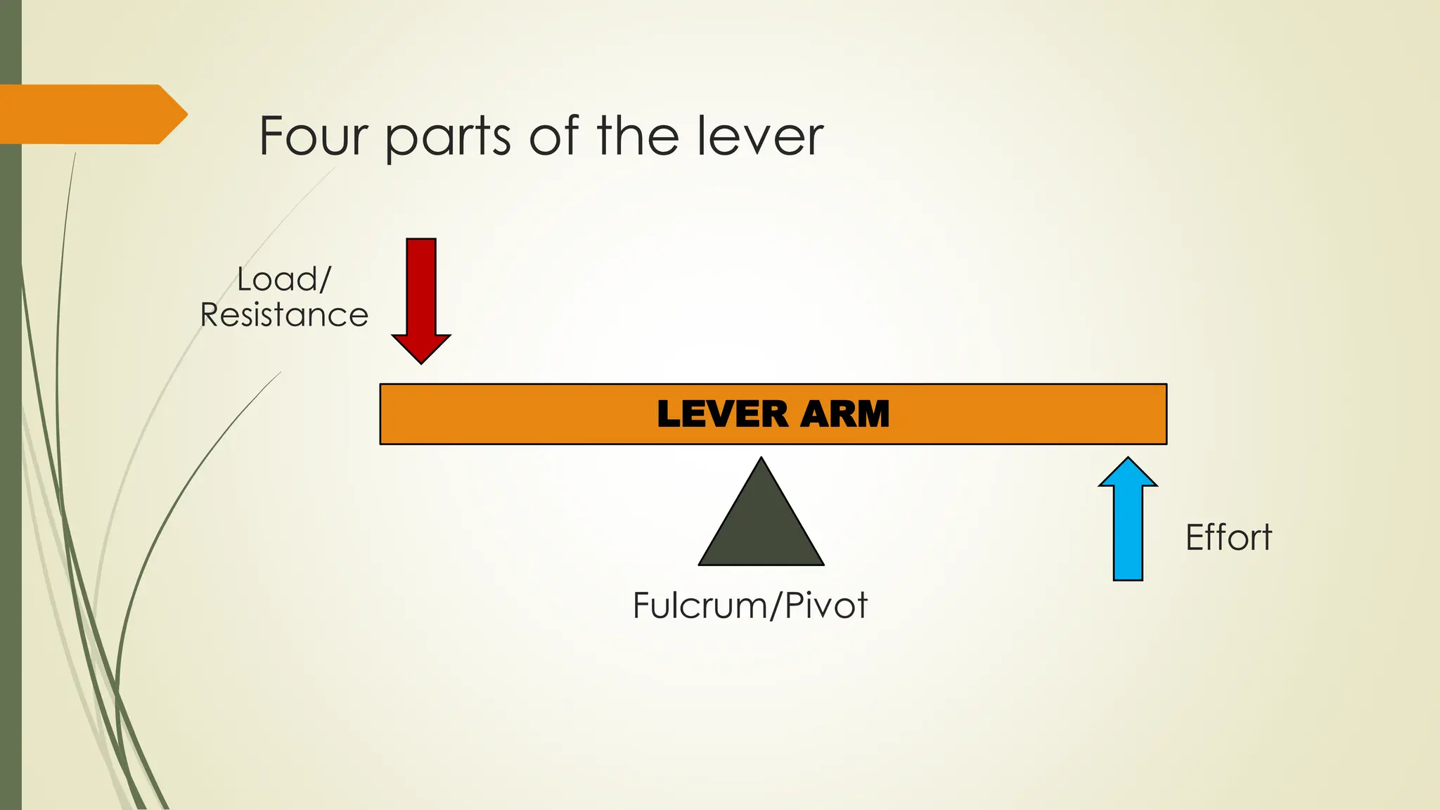 inbound2772655900034201706.pdf lever system in human body | PDF ...