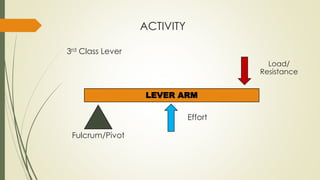 inbound2772655900034201706.pdf lever system in human body | PDF