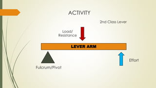 inbound2772655900034201706.pdf lever system in human body | PDF ...