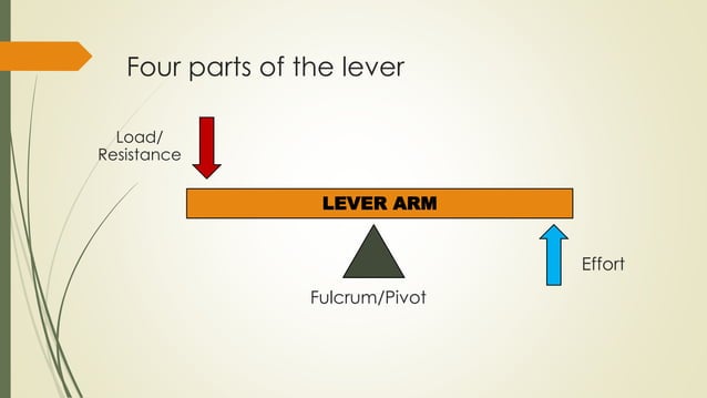 inbound2772655900034201706.pdf lever system in human body | PDF ...