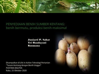 Benih sumber kentang123456789011121314ppt | PPT