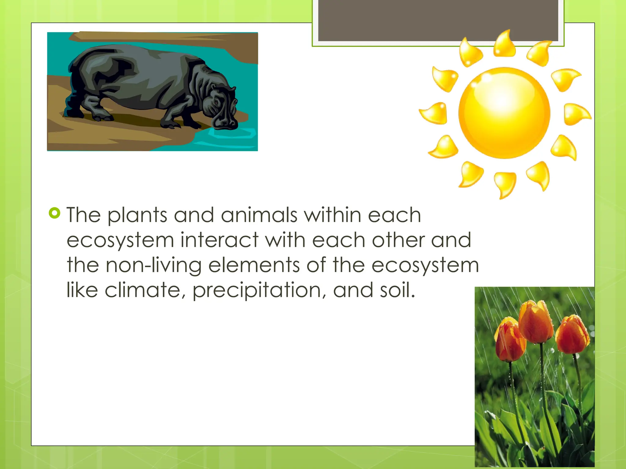 What is an ecosystem and how do we benefit from it. .pptx