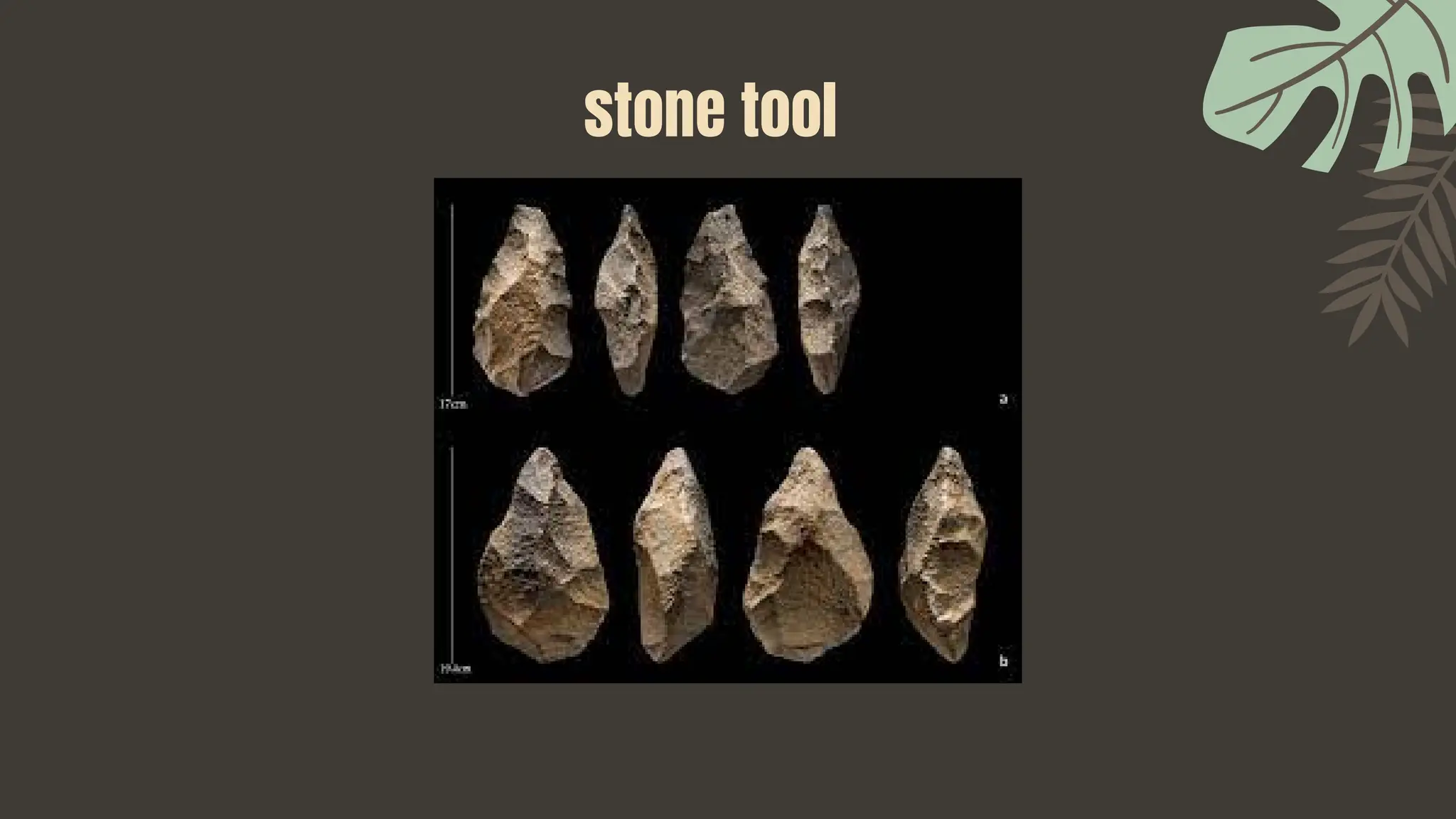 Indigenous Science and Technology in the Philippines | PDF