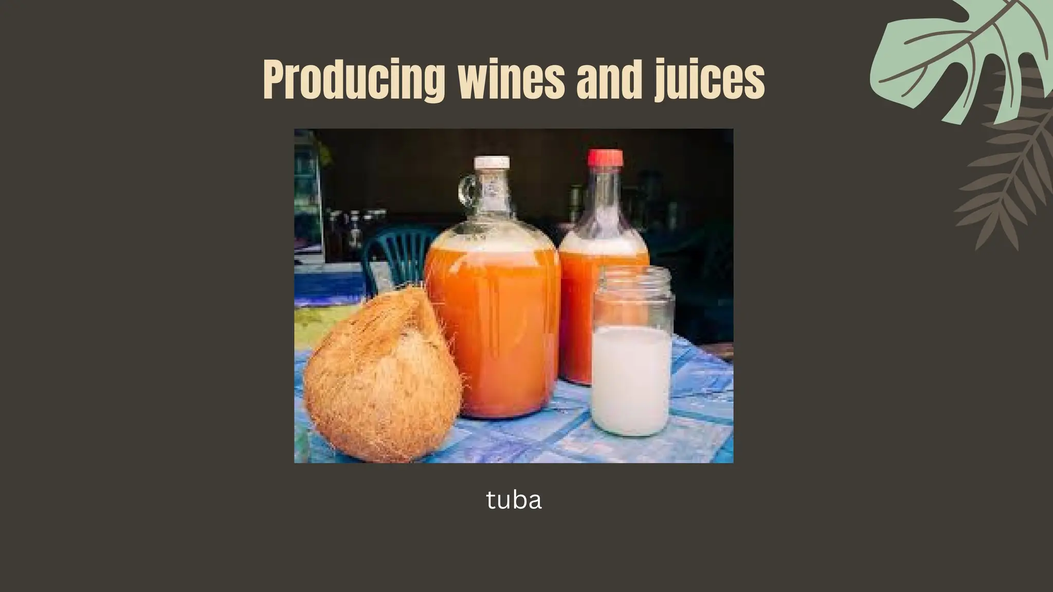 Indigenous Science and Technology in the Philippines | PDF