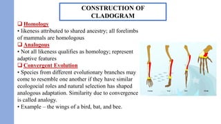 Biological classifications of organisms/ BS BIOLOGY | PDF