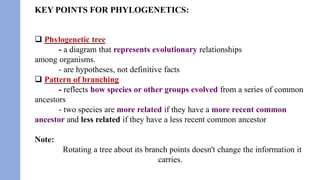 Biological classifications of organisms/ BS BIOLOGY | PDF