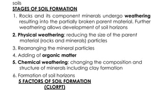Physical and Chemical Weathering of Soil for Soil Science 1 | PDF
