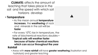 Physical and Chemical Weathering of Soil for Soil Science 1 | PDF
