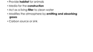 Physical and Chemical Weathering of Soil for Soil Science 1 | PDF