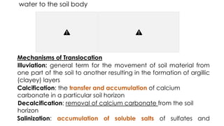 Physical and Chemical Weathering of Soil for Soil Science 1 | PDF
