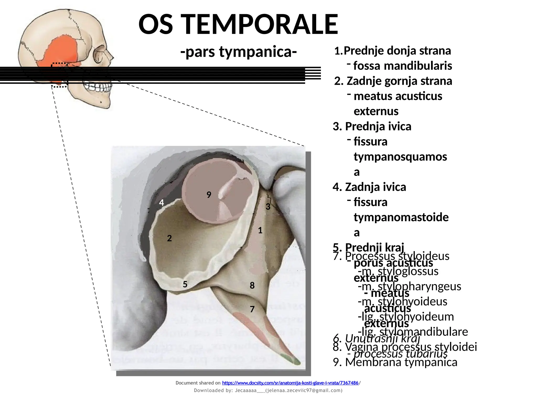 Bonesofhadanatomyfrontalparietalocipital.pptx