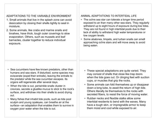 Tide about water, tide affecting the water.pdf