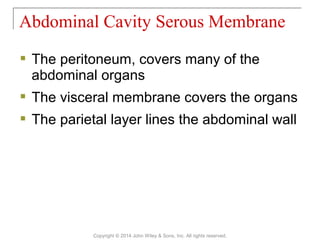 the anatomy and physiology of human movement | PDF