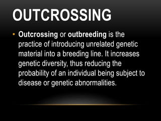 Inbred development | PPTX