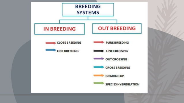 inbreeding methods of the mulberry .pptx | Infertility | Reproductive ...