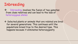inbreeding methods of the mulberry .pptx | Infertility | Reproductive ...