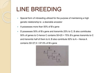 Inbreeding and outbreeding | PPTX