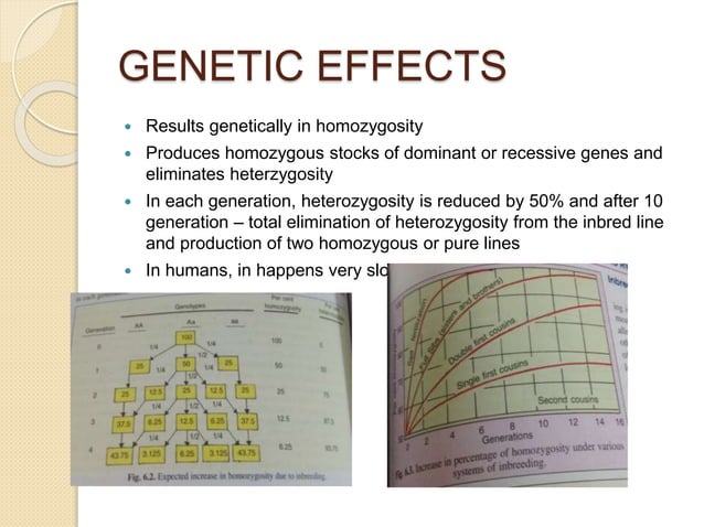 Inbreeding and outbreeding