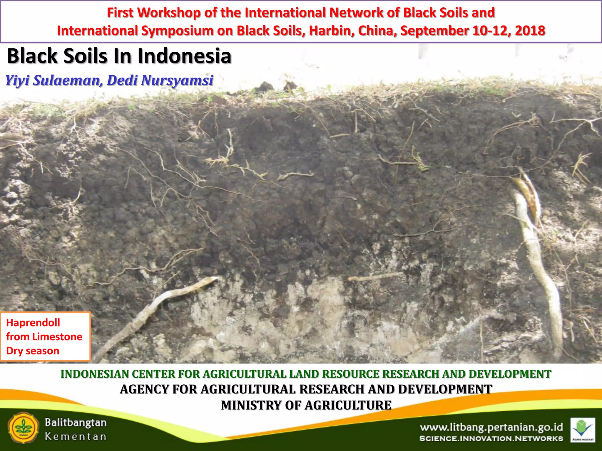 Black Soils In Indonesia - Yiyi Sulaeman, Dedi Nursyamsi | PDF