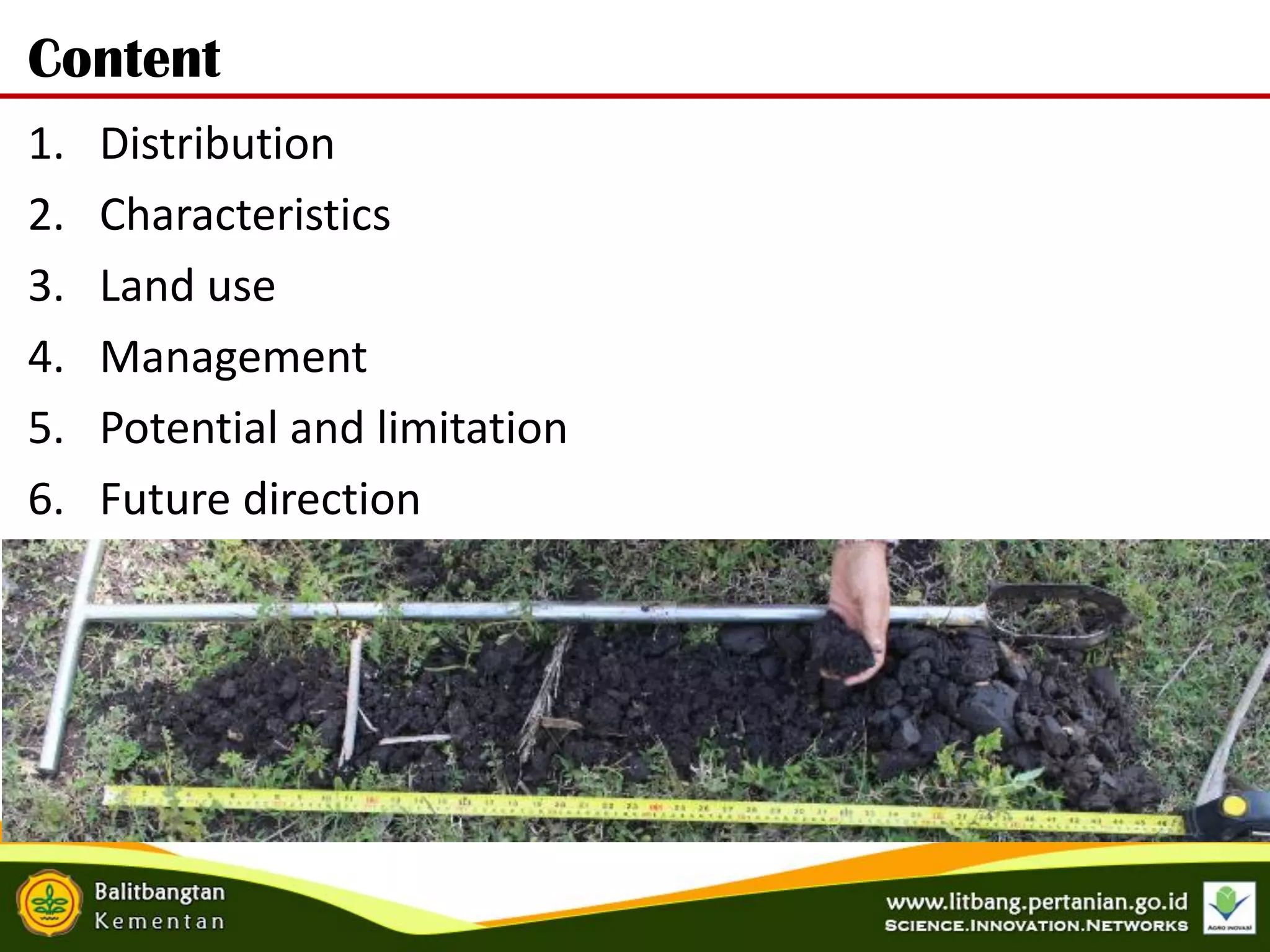 Black Soils In Indonesia - Yiyi Sulaeman, Dedi Nursyamsi | PDF