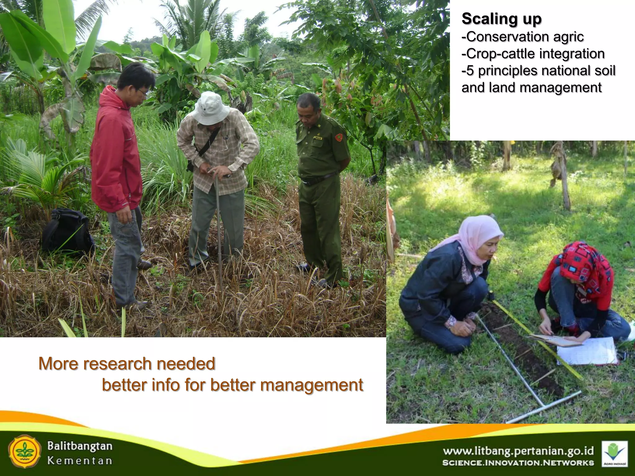Black Soils In Indonesia - Yiyi Sulaeman, Dedi Nursyamsi | PDF