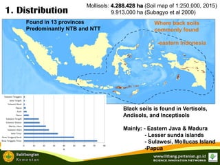 Black Soils In Indonesia - Yiyi Sulaeman, Dedi Nursyamsi | PDF