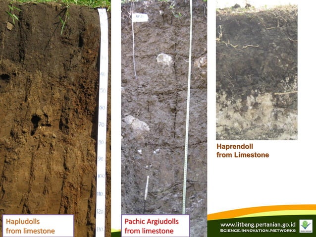 Black Soils In Indonesia - Yiyi Sulaeman, Dedi Nursyamsi | PDF ...
