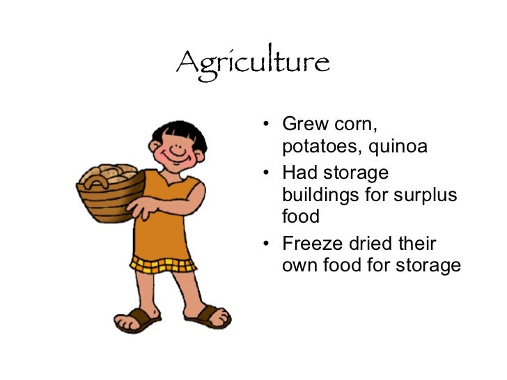Incas Food Agriculture