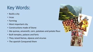 Inca Culture | PPTX