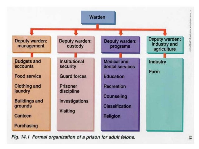 Incarceration and Prison Society