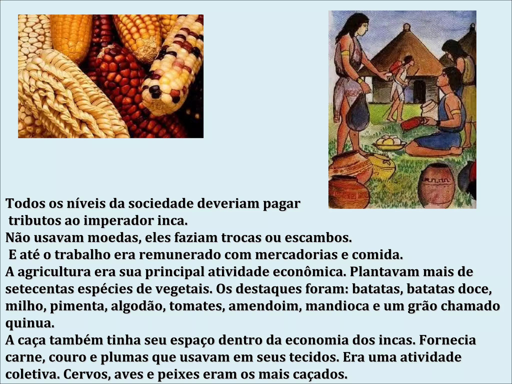 Povos Incas | PPT