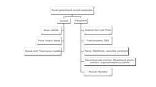 Incase_Akmal_29 nov_ acute diffuse weakness.pptx