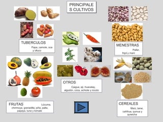 Incas economía II | PPT