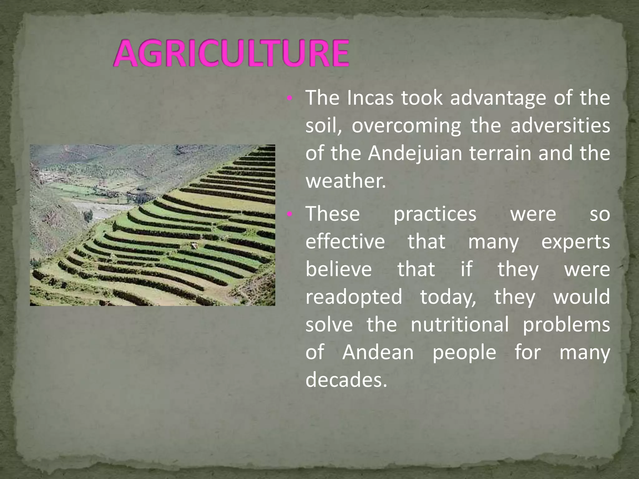Incas empire | PPTX