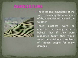 Incas empire | PPTX