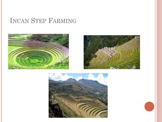 Inca Terrace Farming Diagram