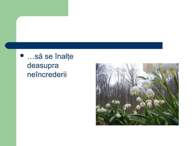 In Cautarea Primaverii | PPS